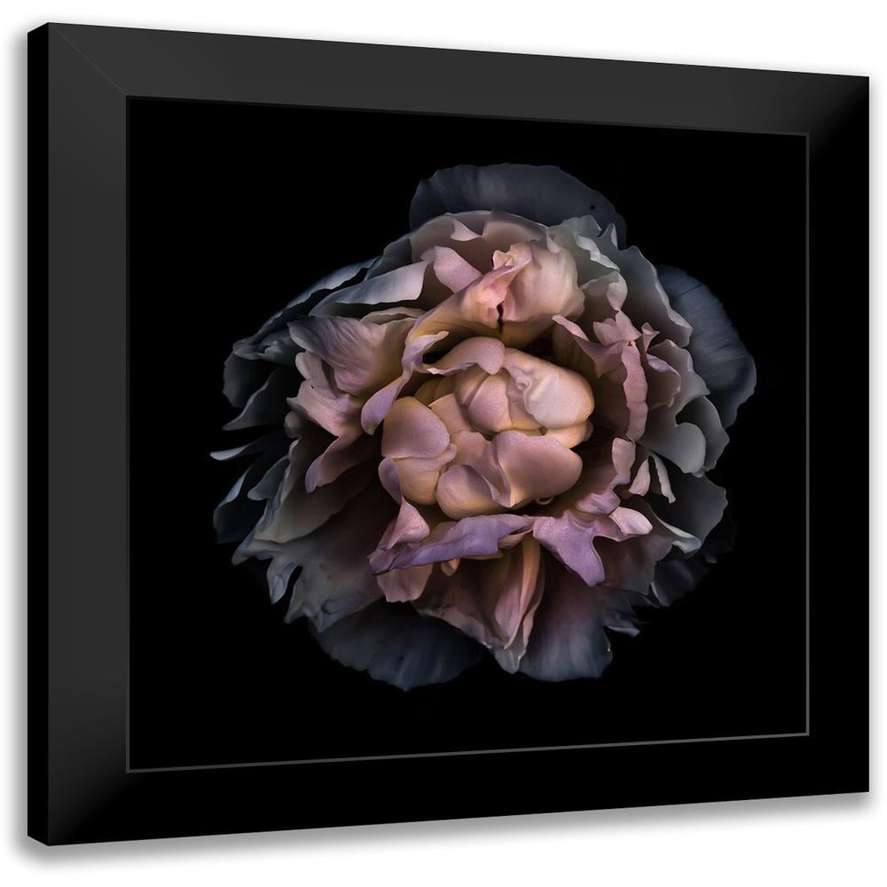 Carson, Brian 15x15 Black Modern Framed Museum Art Print Titled ...