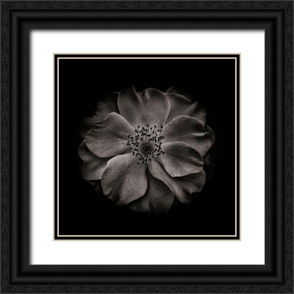 Carson, Brian 15x15 Black Ornate Wood Framed with Double Matting Museum ...