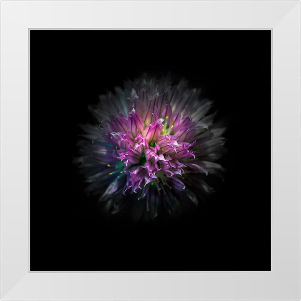 Carson, Brian 15x15 White Modern Wood Framed Museum Art Print Titled ...