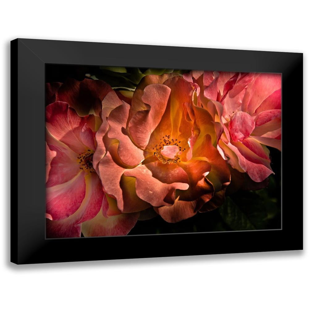 Carson, Brian 18x15 Black Modern Framed Museum Art Print Titled - Pink ...