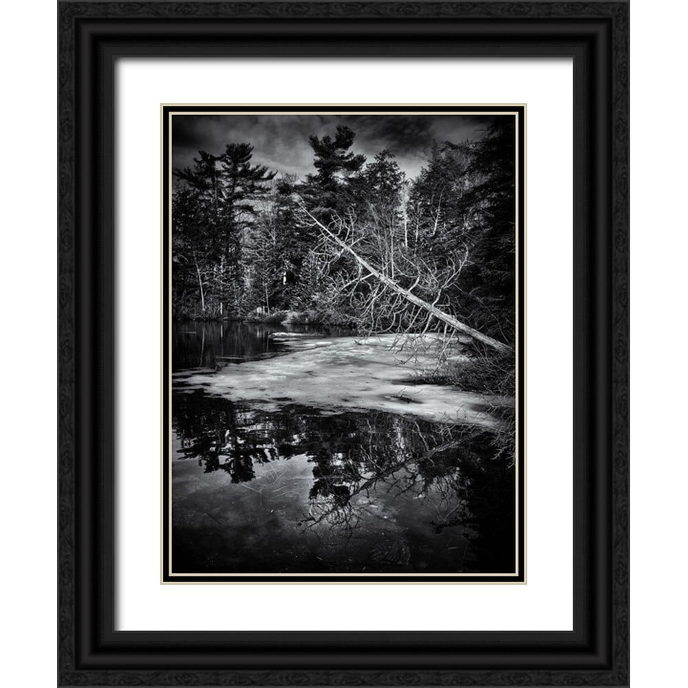 Carson, Brian 19x24 Black Ornate Wood Framed with Double Matting Museum ...