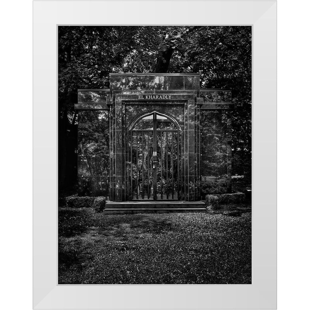 Carson, Brian 19x24 White Modern Wood Framed Museum Art Print Titled ...