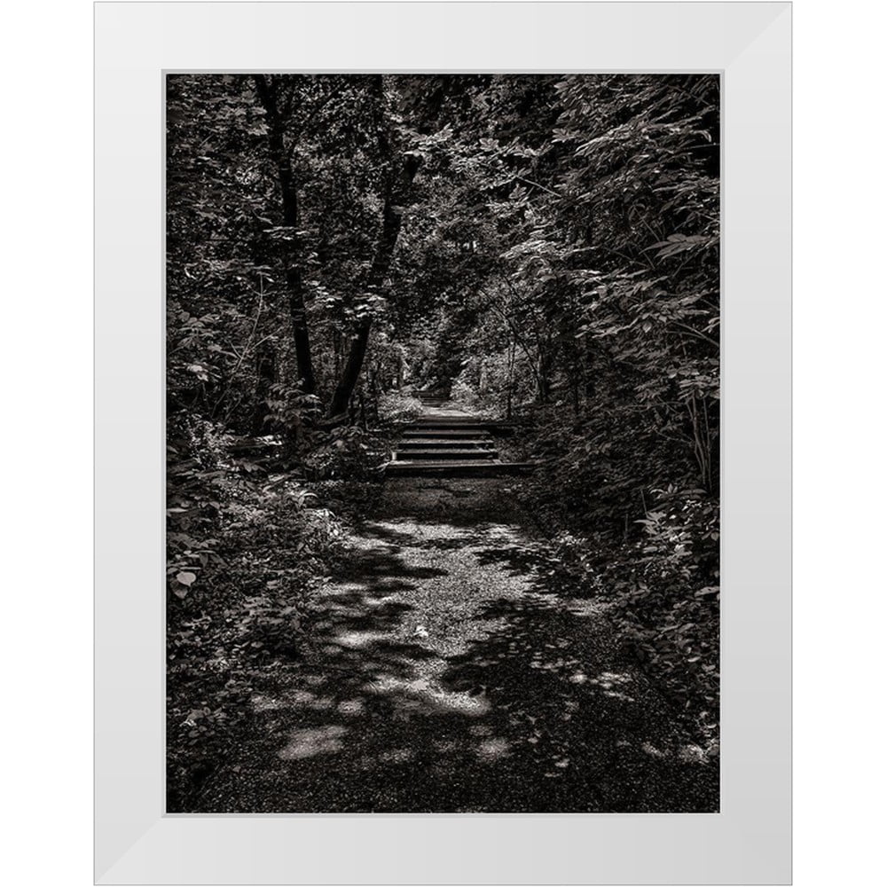 Carson, Brian 19x24 White Modern Wood Framed Museum Art Print Titled ...