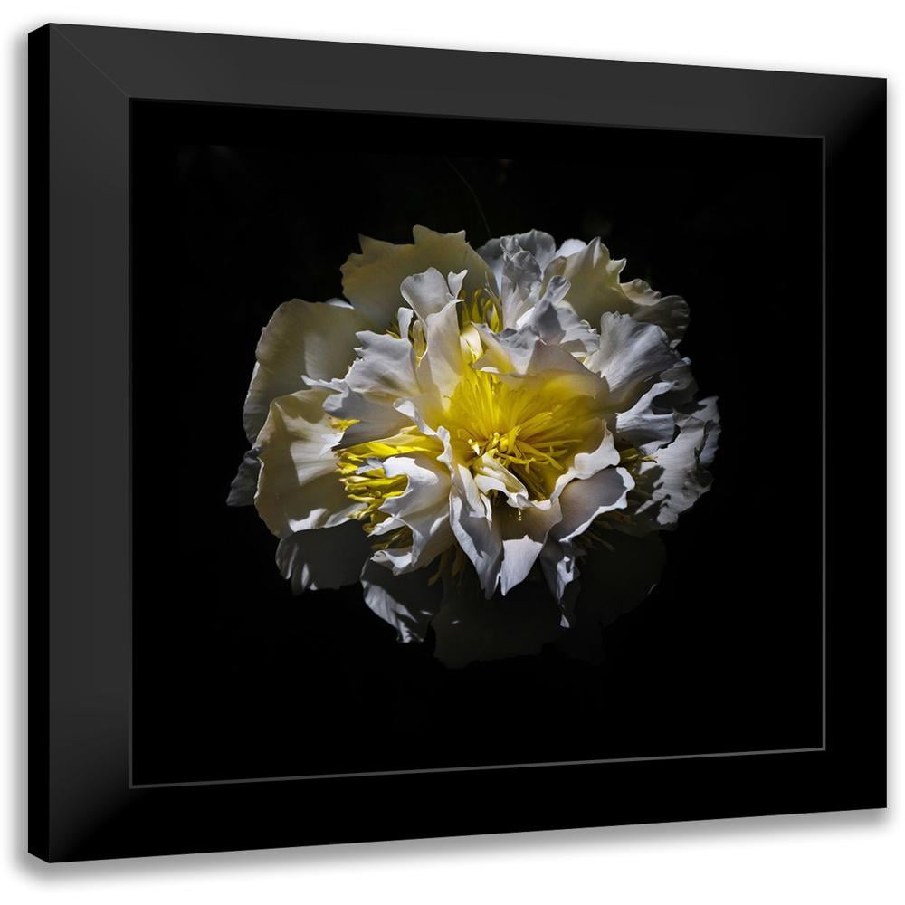 Carson, Brian 20x20 Black Modern Framed Museum Art Print Titled - White ...