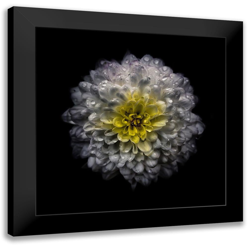 Carson, Brian 20x20 Black Modern Framed Museum Art Print Titled - White ...