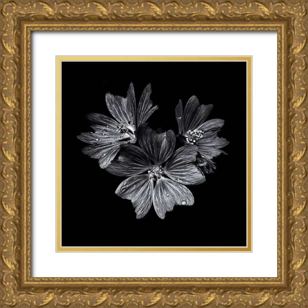 Carson, Brian 20x20 Gold Ornate Wood Framed with Double Matting Museum ...
