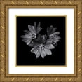 Carson, Brian 20x20 Gold Ornate Wood Framed with Double Matting Museum ...