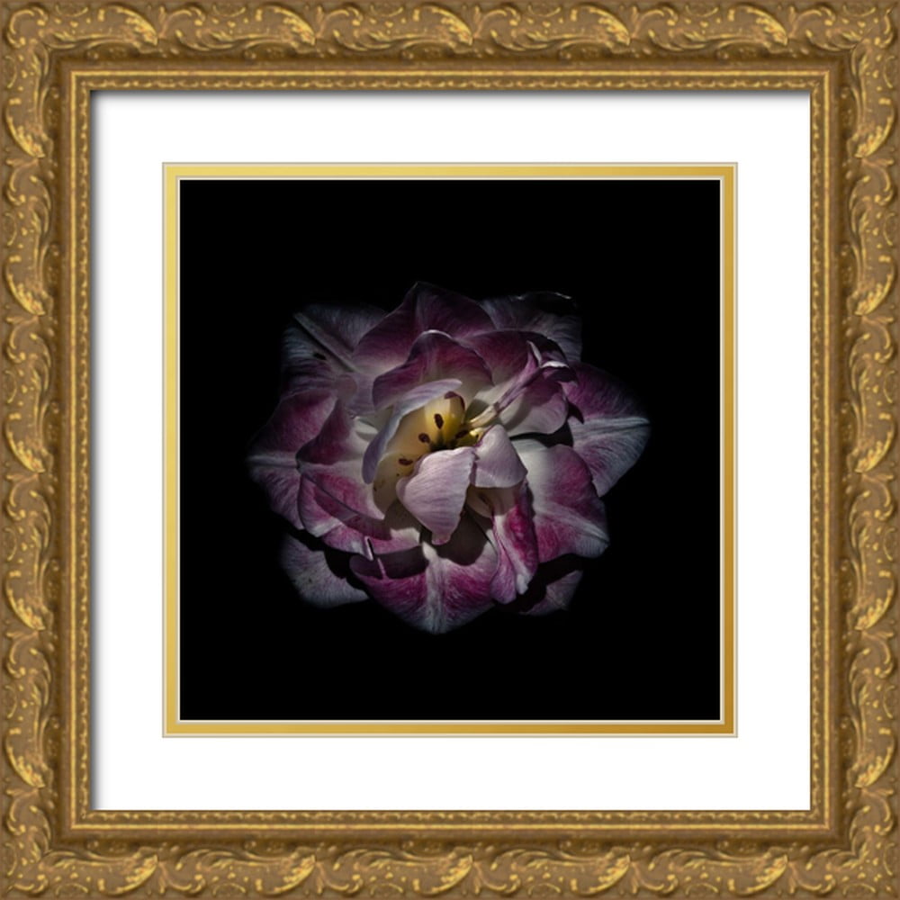 Carson, Brian 20x20 Gold Ornate Wood Framed with Double Matting Museum ...