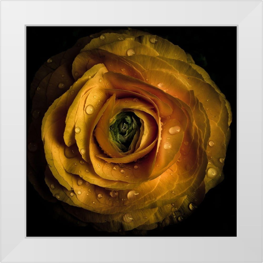 Carson, Brian 20x20 White Modern Wood Framed Museum Art Print Titled ...