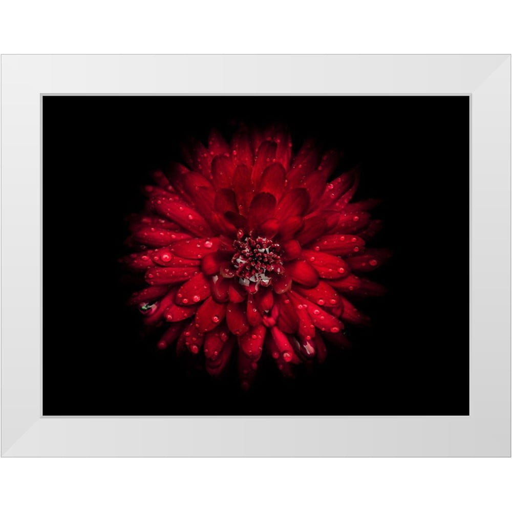 Carson, Brian 24x19 White Modern Wood Framed Museum Art Print Titled ...