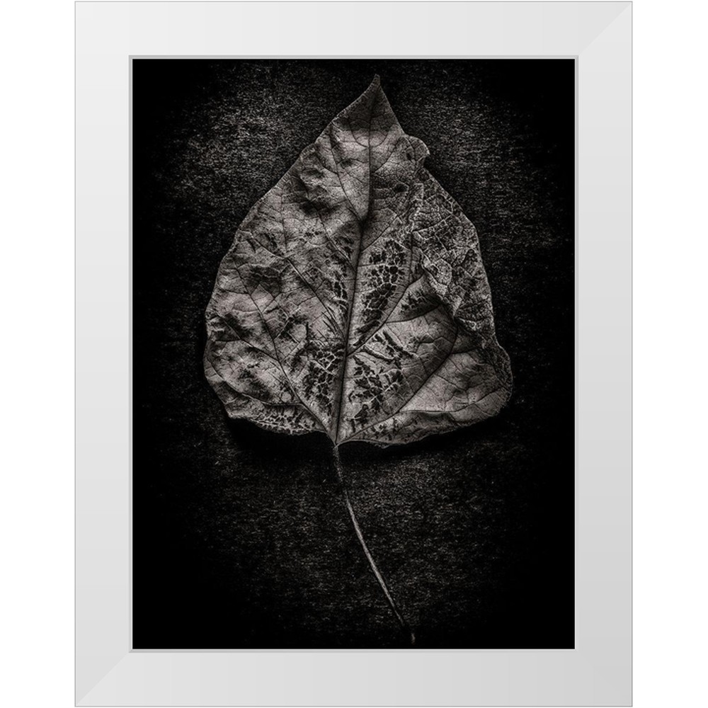 Carson, Brian 25x32 White Modern Wood Framed Museum Art Print Titled ...