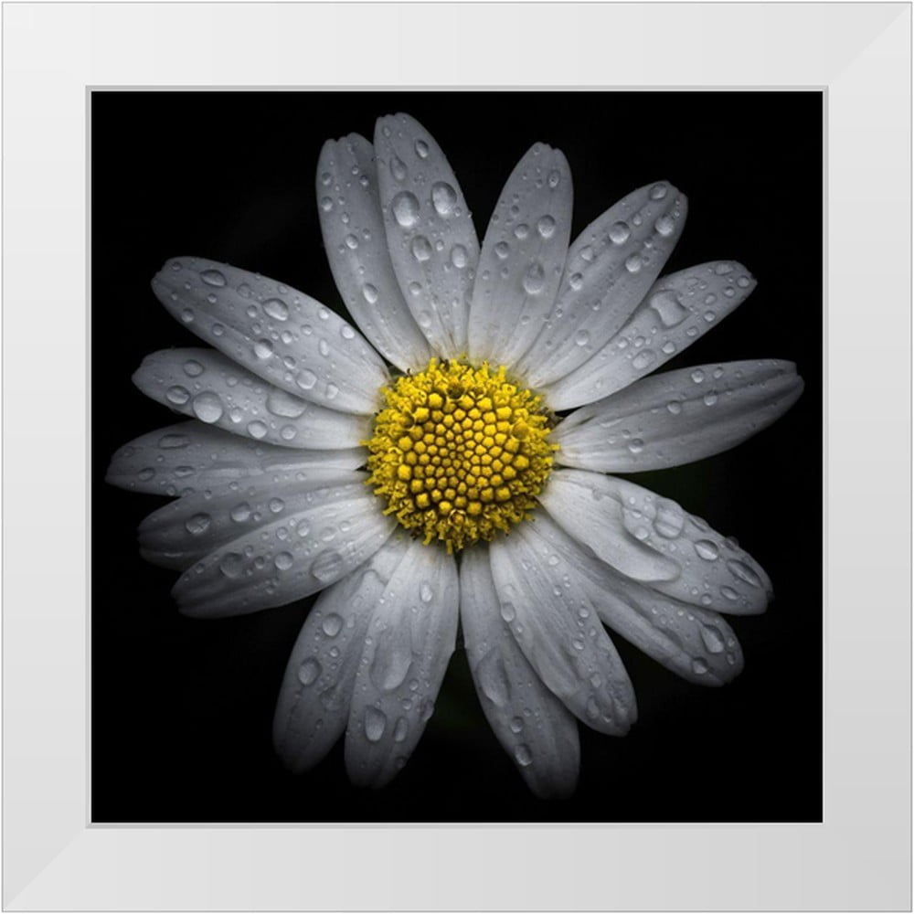 Carson, Brian 26x26 White Modern Wood Framed Museum Art Print Titled ...