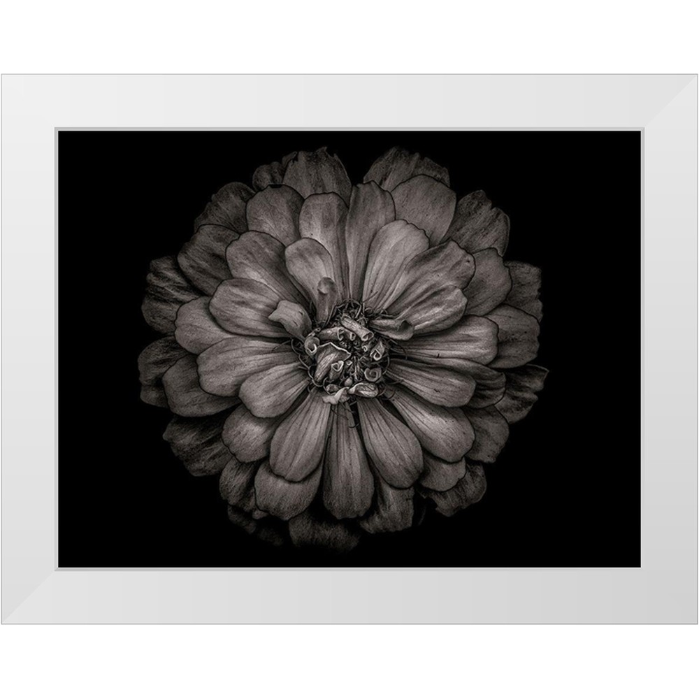 Carson, Brian 32x25 White Modern Wood Framed Museum Art Print Titled ...