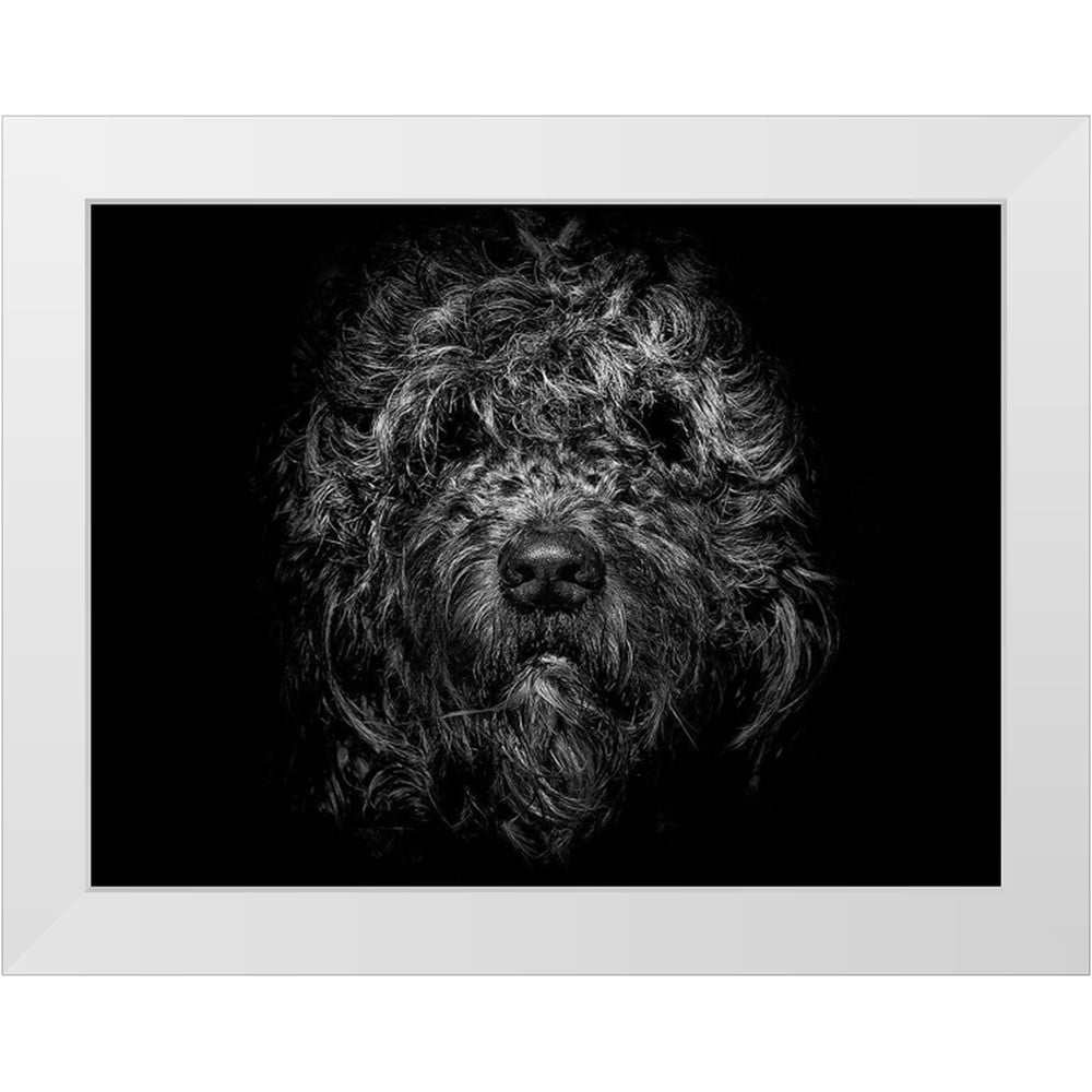 Carson, Brian 32x25 White Modern Wood Framed Museum Art Print Titled ...