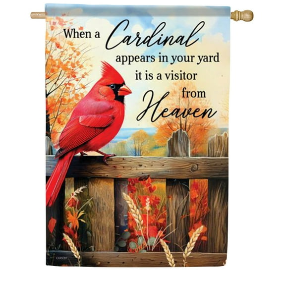 Carson Cardinal Appears House Flag, 28 x 40 inch Double Sided, Visitor ...