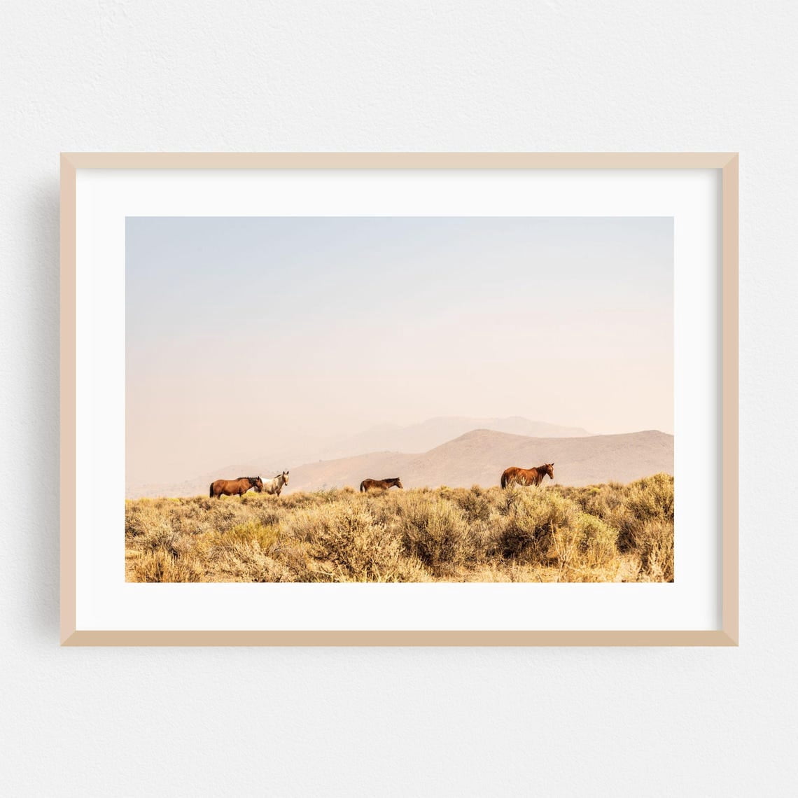 Carson City Nevada Horse Desert Wildlife Rural Landscape Nature ...