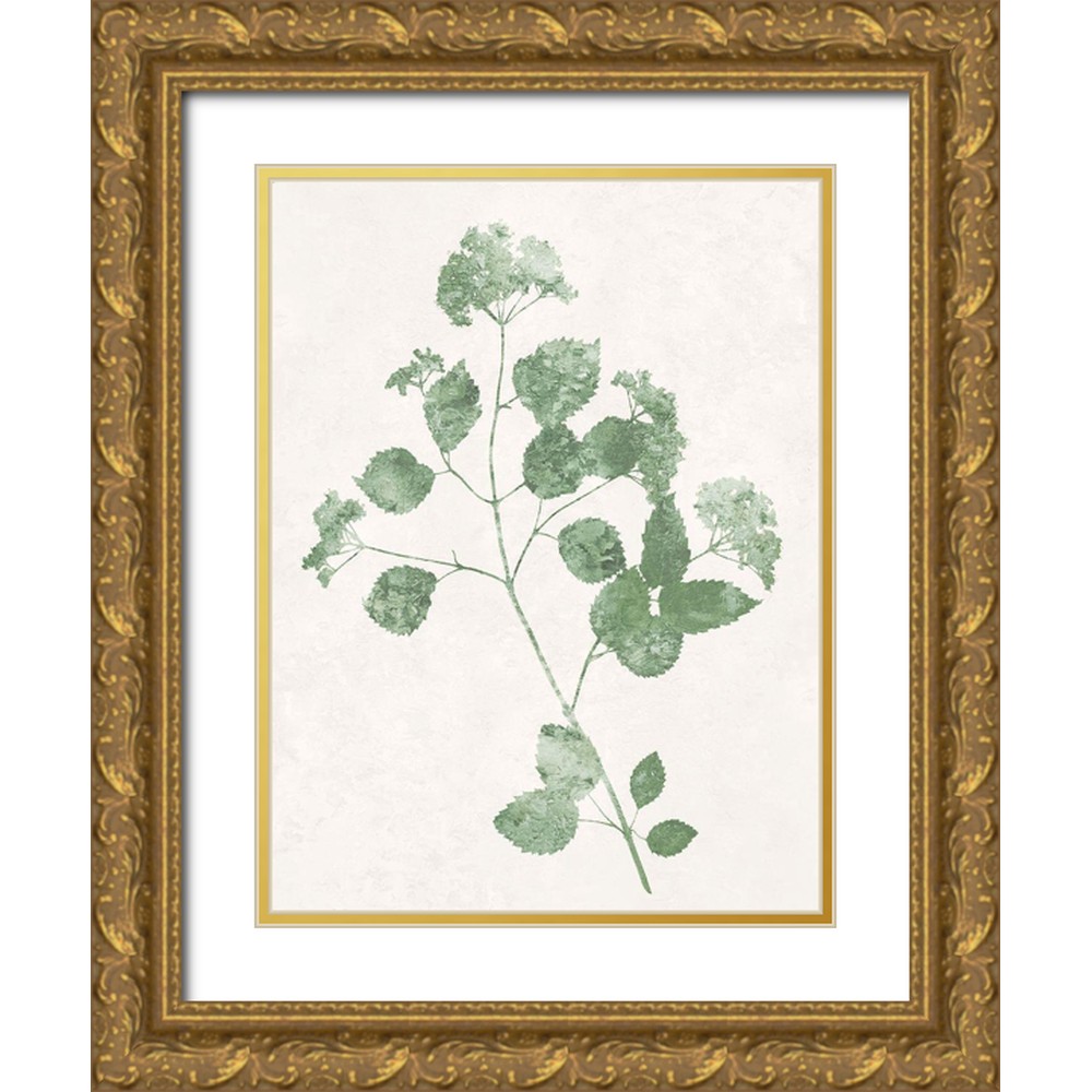 Carson, Danielle 12x14 Gold Ornate Wood Framed with Double Matting ...