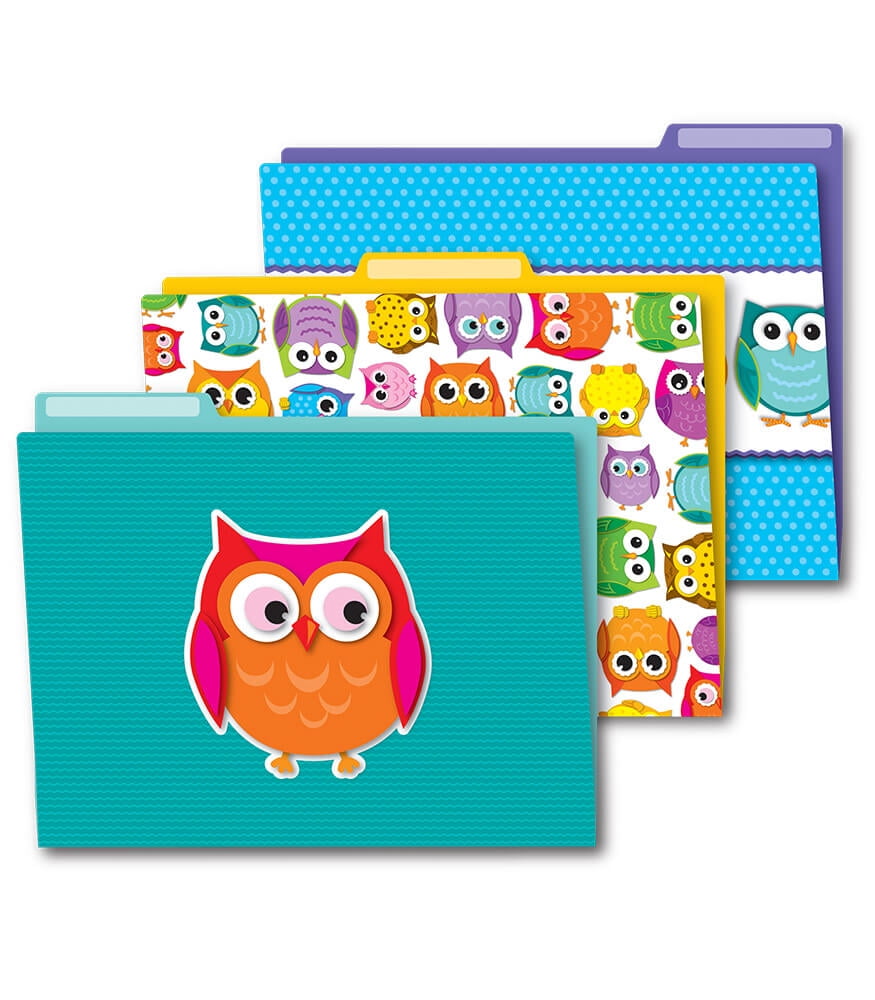 Carson Dellosa Education Colorful Owls 6 Folders
