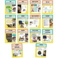 Carson Dellosa Education Mini Posters: Nonfiction Text Features Poster ...