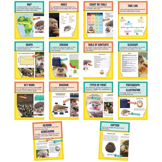 Mini Posters: Nonfiction Text Features Poster Set, Grade 1-6, 14 Pieces ...