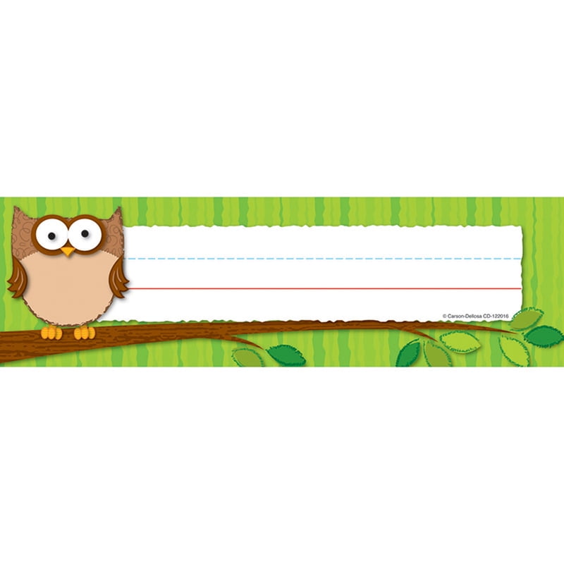 Carson Dellosa Owls Desk Nameplates 6 Pk 122016 - Walmart.com