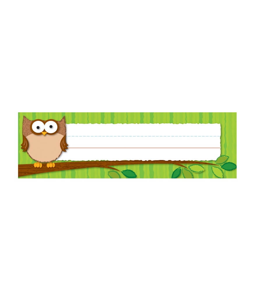 Carson Dellosa Owls Name Plates 36 Desk Nameplates