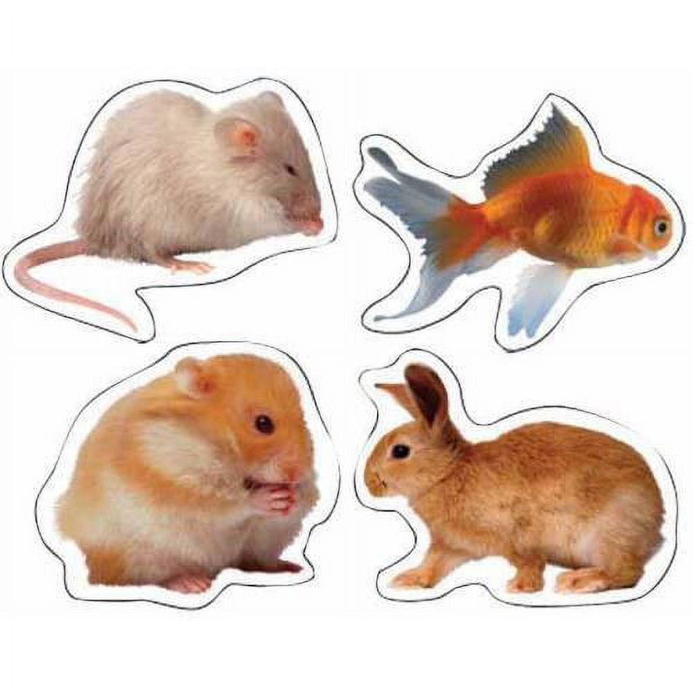 Carson Dellosa Photographic Shape Sticker Set, 7.5" x 4.75" - Walmart.com