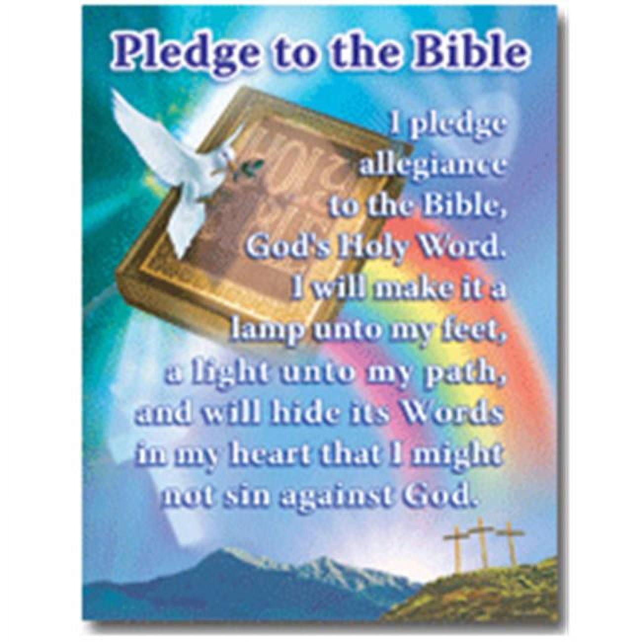 Carson Dellosa Pledge To The Bible - Walmart.com