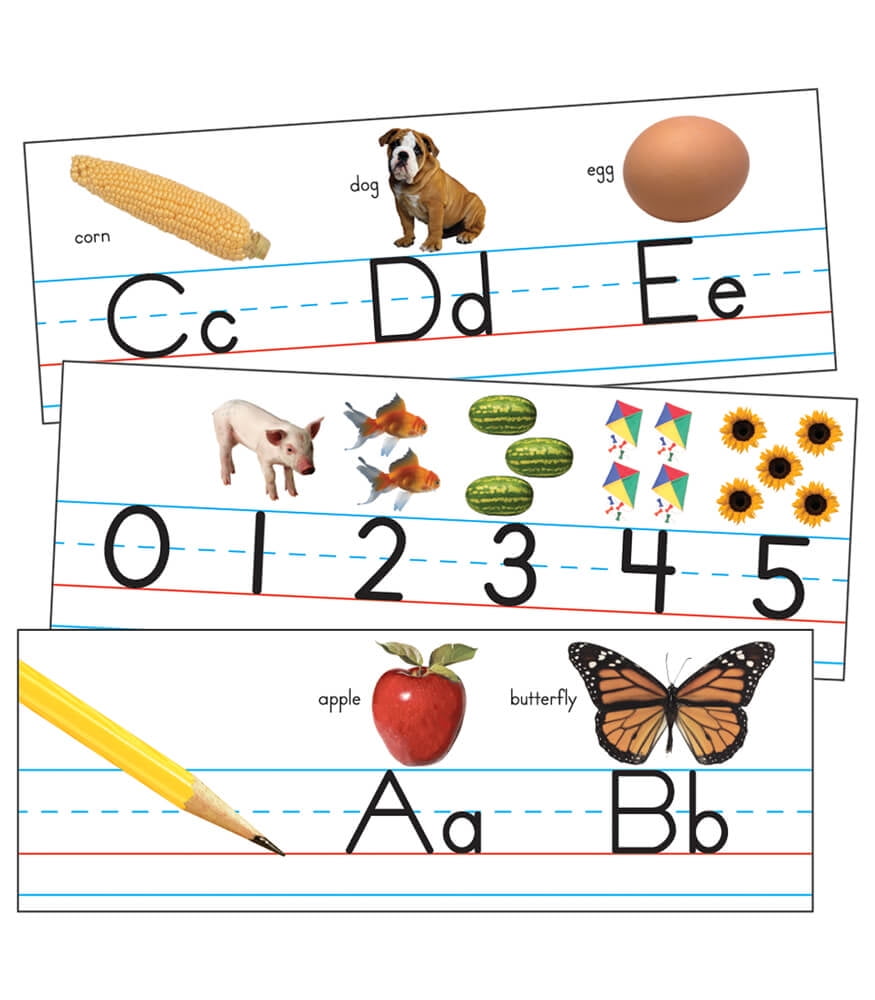 Carson Dellosa Traditional Manuscript Alphabet with Photographs ...