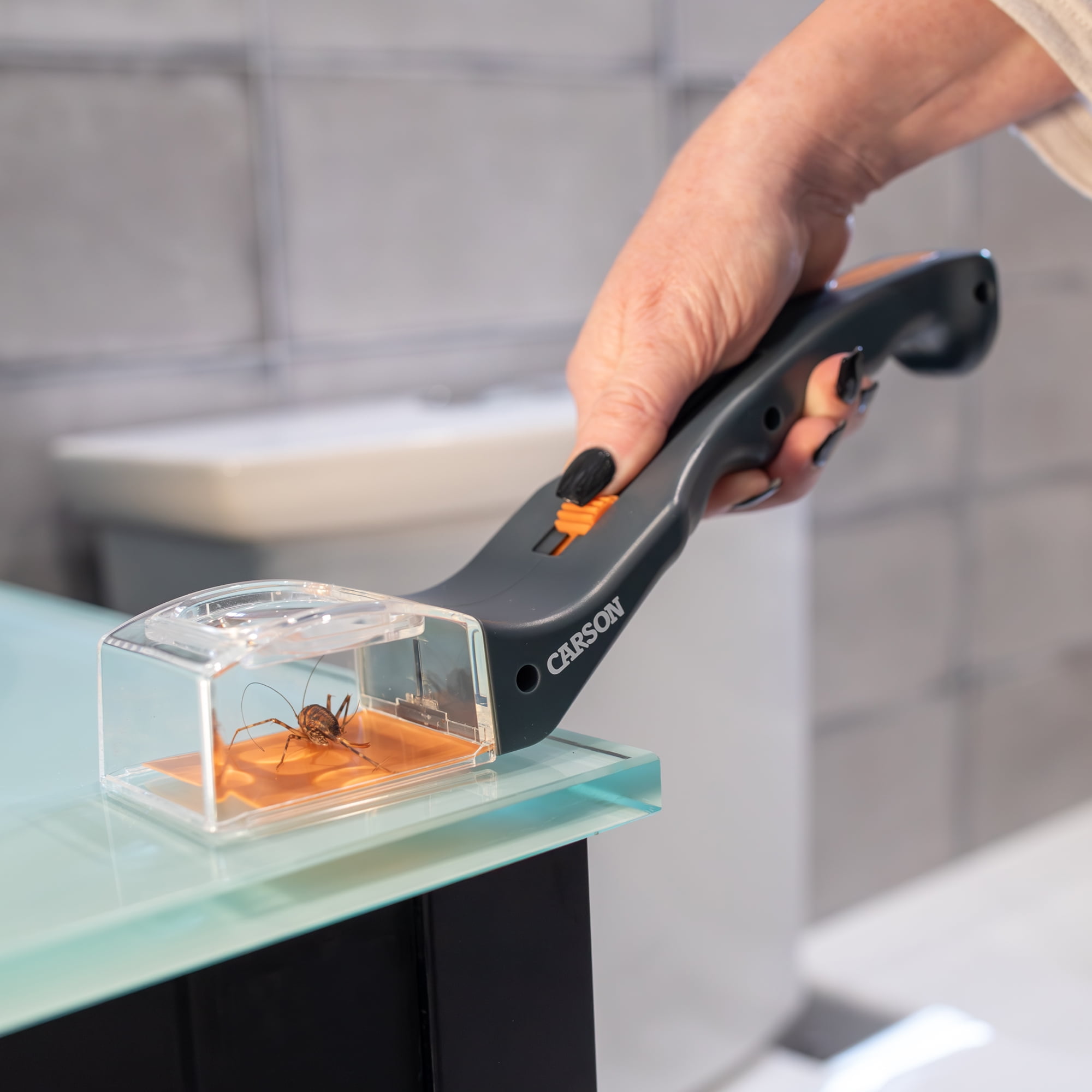 Carson Insect Catching Tool Handheld Bug Catcher with Built-in ...