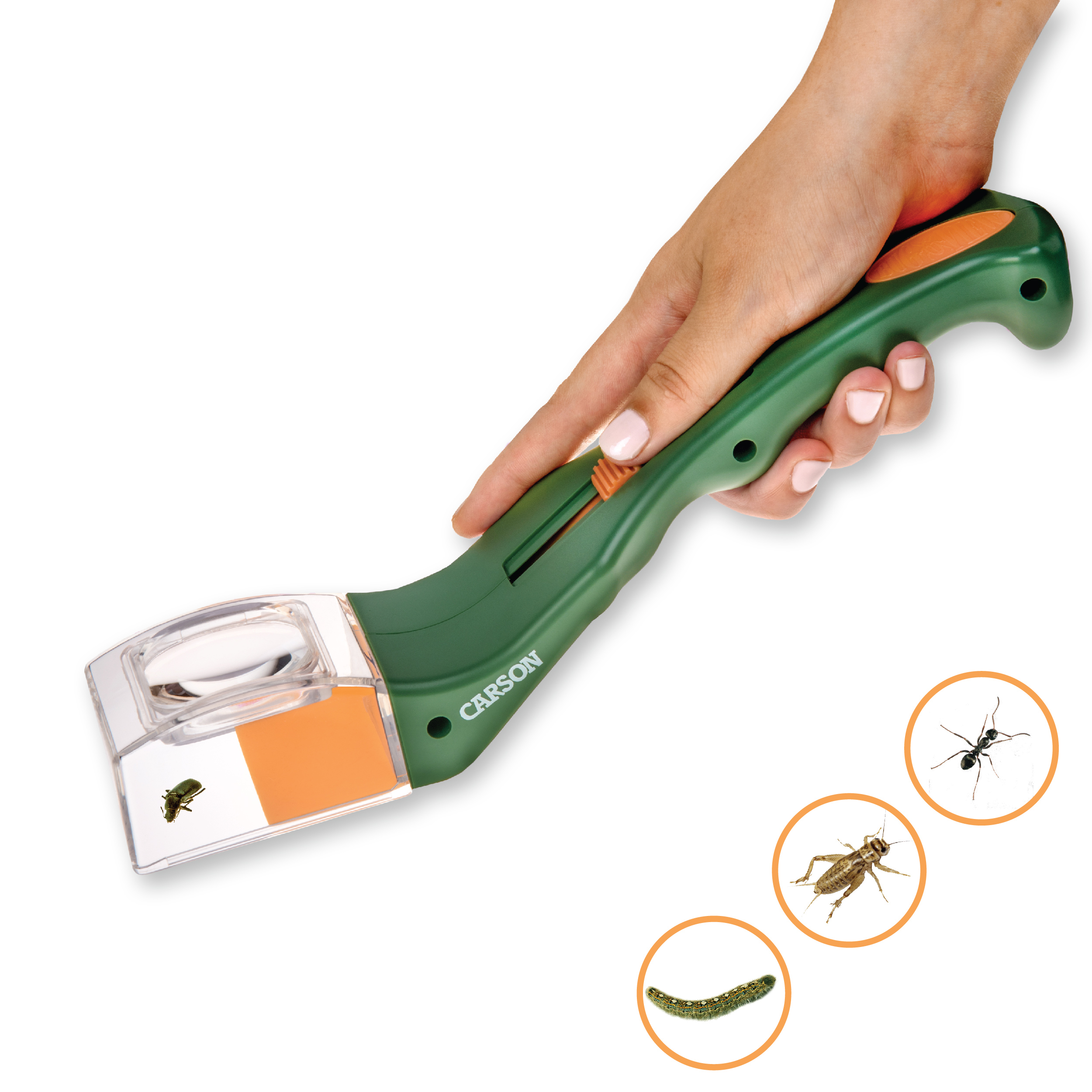 Blukids Handheld BugView and Magnifier Quick-Release Bug Catching Tool ...