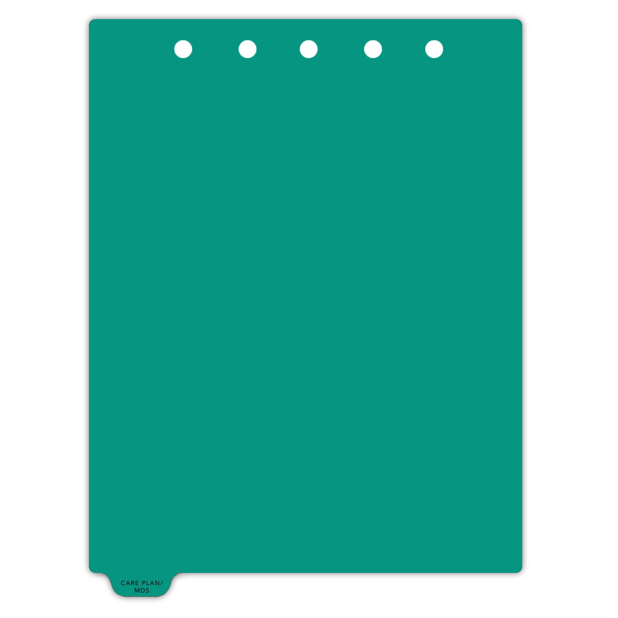 Carstens - Heavy Duty Care Plan/MDS Plastic Ring Binder Dividers ...