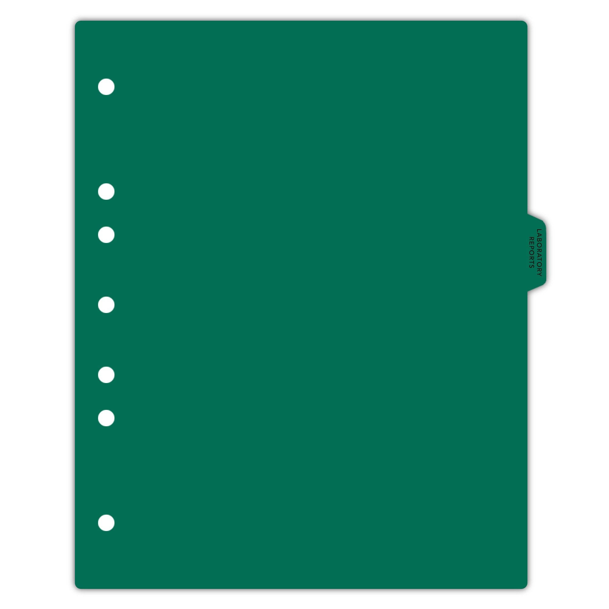 Carstens - Heavy Duty Laboratory Reports Plastic Ring Binder Dividers ...