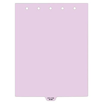 Carstens - Heavy Duty Misc. Plastic Ring Binder Dividers, Bottom Tab, 1 ...