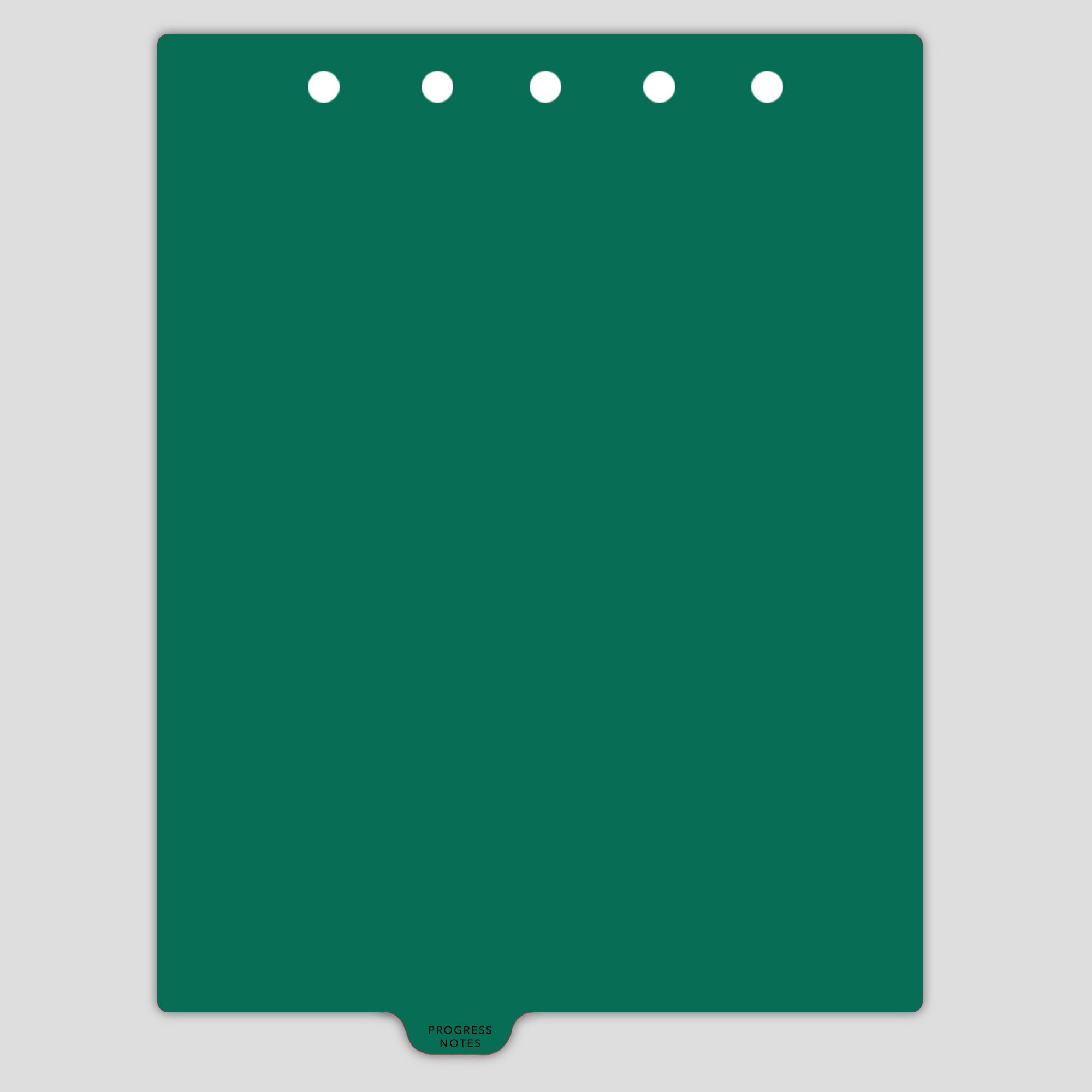 Carstens - Heavy Duty Progress Notes Plastic Ring Binder Dividers ...