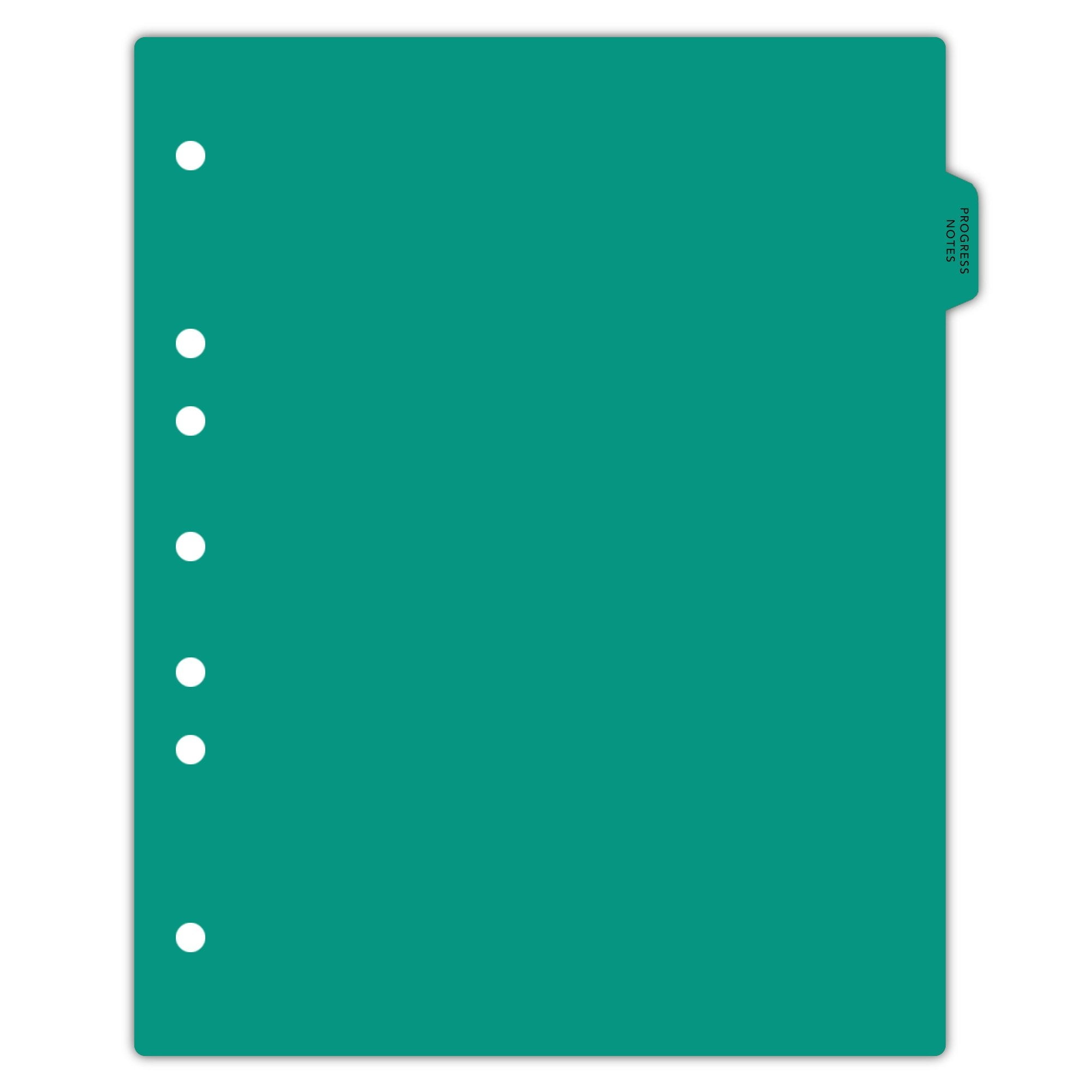 Carstens - Heavy Duty Progress Notes Plastic Ring Binder Dividers, Side ...