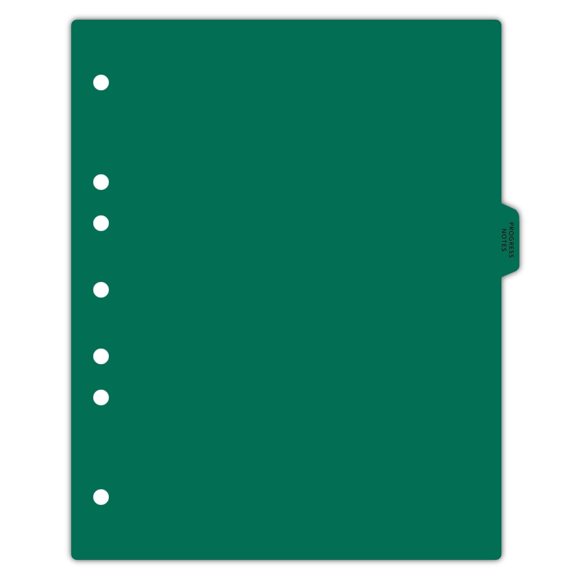 Carstens - Heavy Duty Progress Notes Plastic Ring Binder Dividers, Side ...