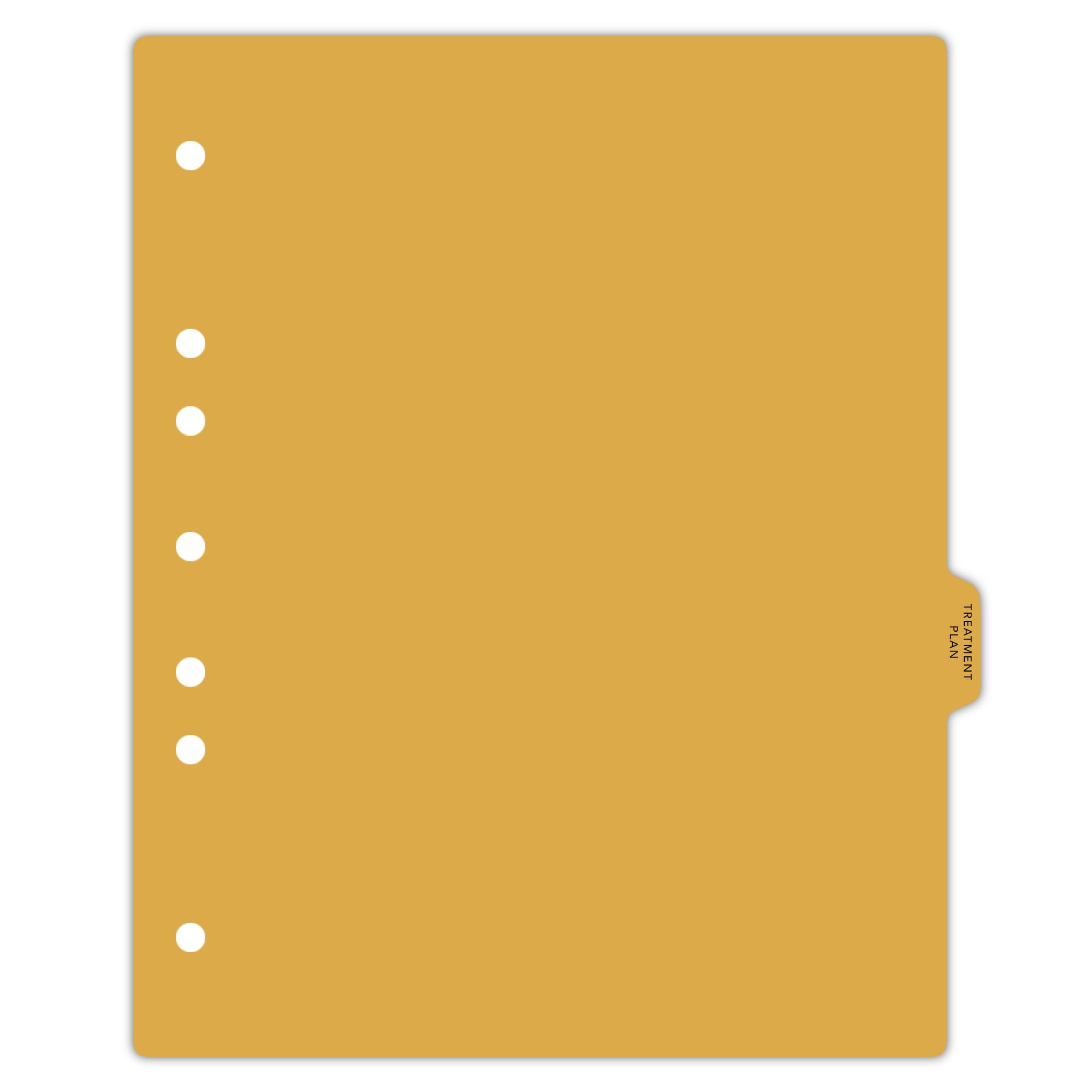 Carstens - Heavy Duty Treatment Plan Plastic Ring Binder Dividers, Side ...