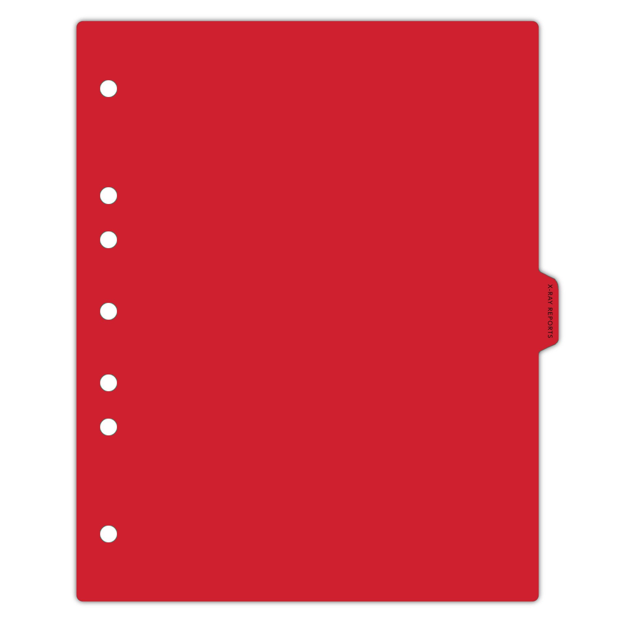Carstens - Heavy Duty X-Ray Reports Plastic Ring Binder Dividers, Side ...