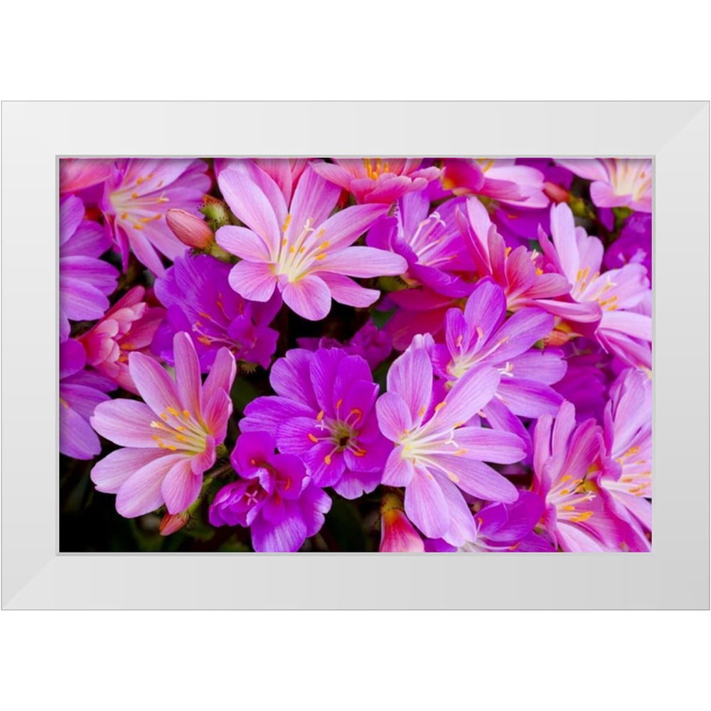 Carter, Jean 18x13 White Modern Wood Framed Museum Art Print Titled ...