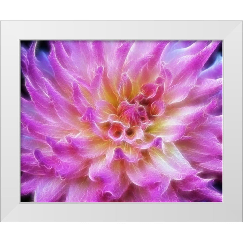 Carter, Jean 18x15 White Modern Wood Framed Museum Art Print Titled ...