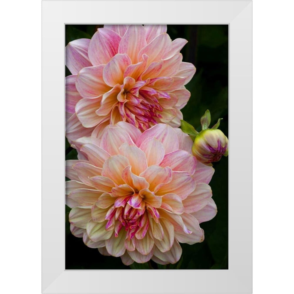 Carter, Jean 23x32 White Modern Wood Framed Museum Art Print Titled ...