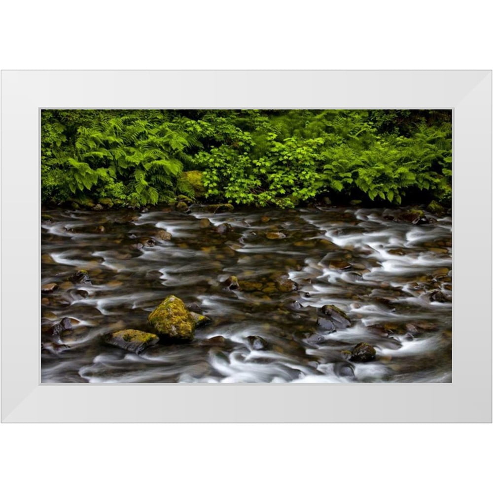 Carter, Jean 24x17 White Modern Wood Framed Museum Art Print Titled ...