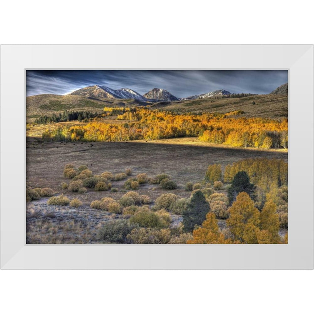 Carter, Jean 32x23 White Modern Wood Framed Museum Art Print Titled ...