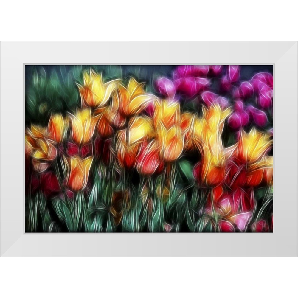 Carter, Jean 32x23 White Modern Wood Framed Museum Art Print Titled ...