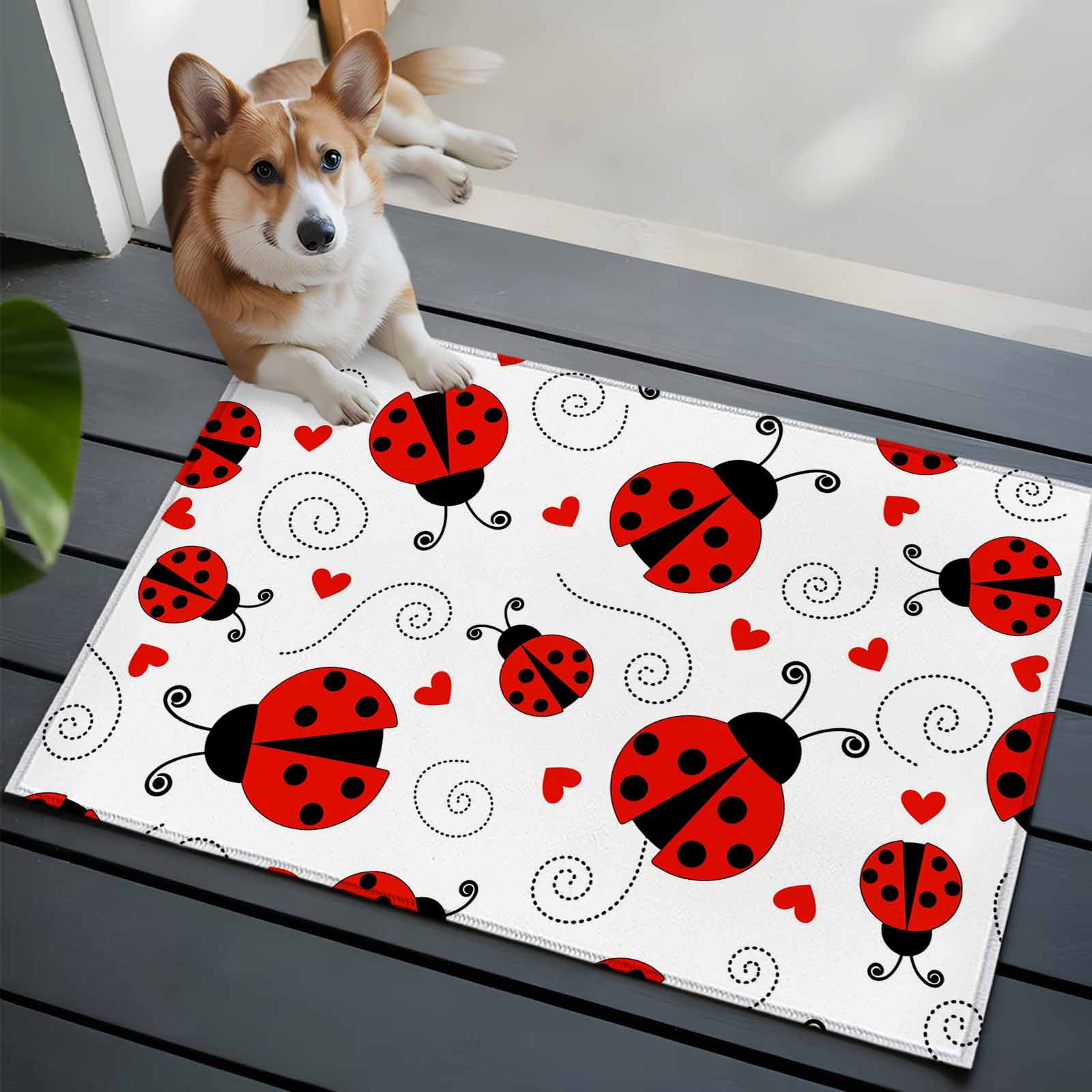 Cartoon Animals Bathroom Mat 2x3 FT, Non Slip Small Kitchen Mat, Funny ...