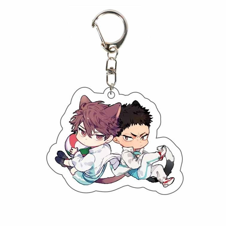 Cartoon Anime Haikyuu!! Volleyball Boy Key Chain Ring Tetsurou Hajime ...