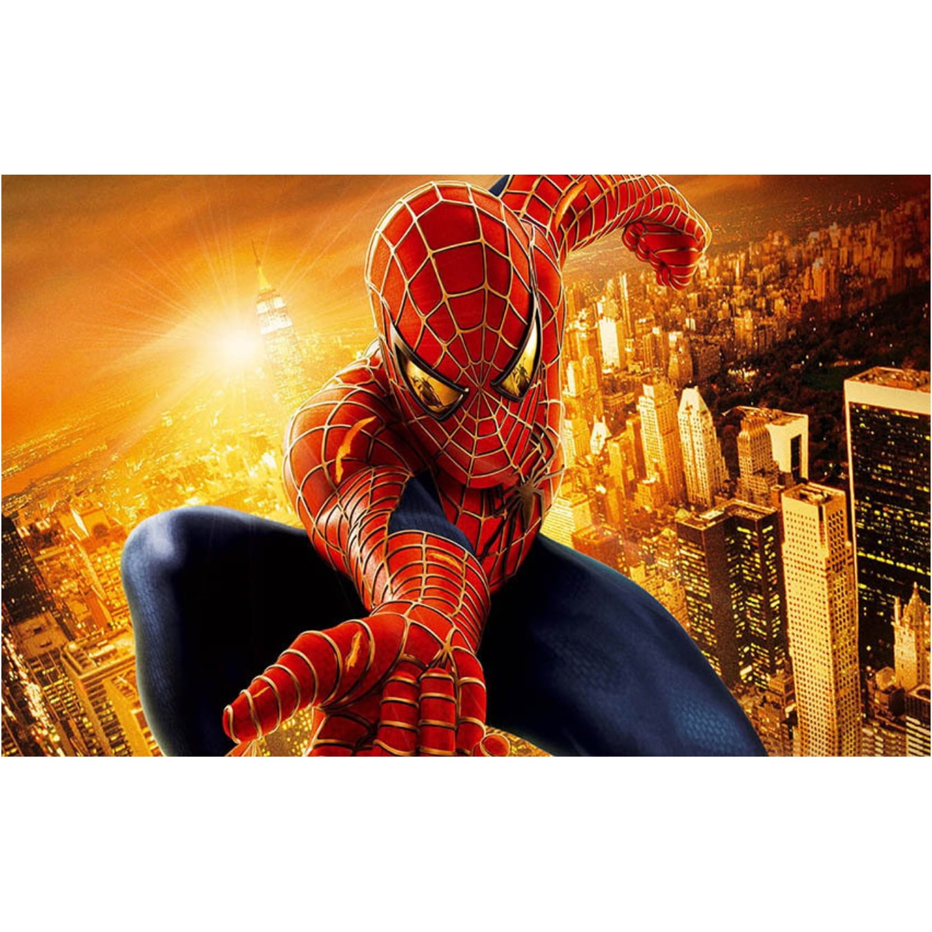 Cartoon Birthday Decorations,Spider Backdrops for Party Decorations ...