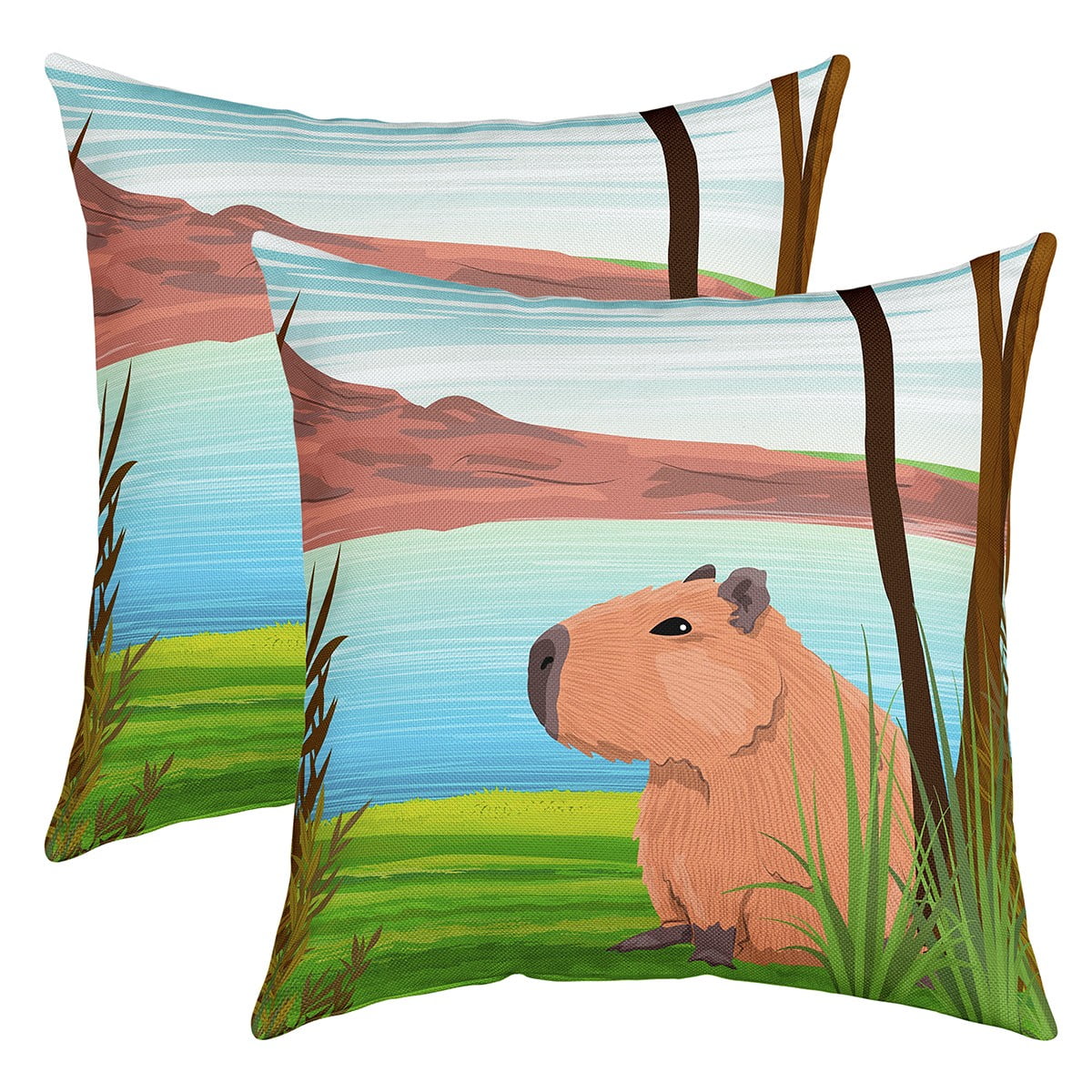Cartoon Capybara Funny Pillow Covers 24x24 Inch Pack of 2,Kawaii ...