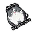 Cartoon Face Brooch Pin With Hilarious I'm Fine It's Just My Face ...